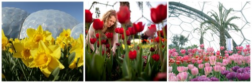 10 Great Reasons to Visit The Eden Project | Red Letter Days Blog