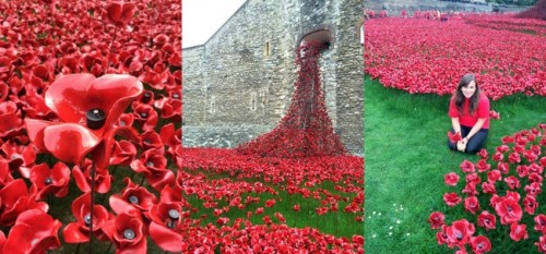 Remembrance Day: Poppy Planting at Tower Bridge | Red Letter Days Blog