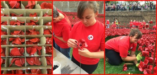 Remembrance Day: Poppy Planting at Tower Bridge | Red Letter Days Blog