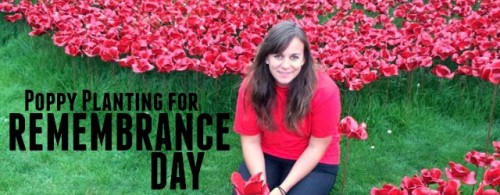 Remembrance Day: Poppy Planting at Tower Bridge | Red Letter Days Blog